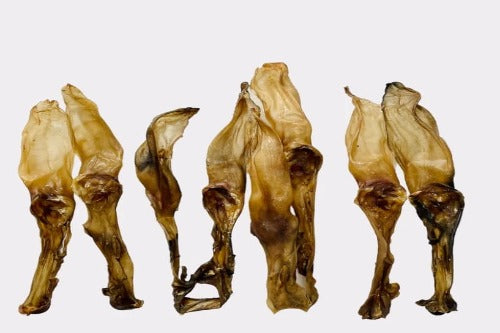 Plain Rabbit Ears – Labra-Cadabra