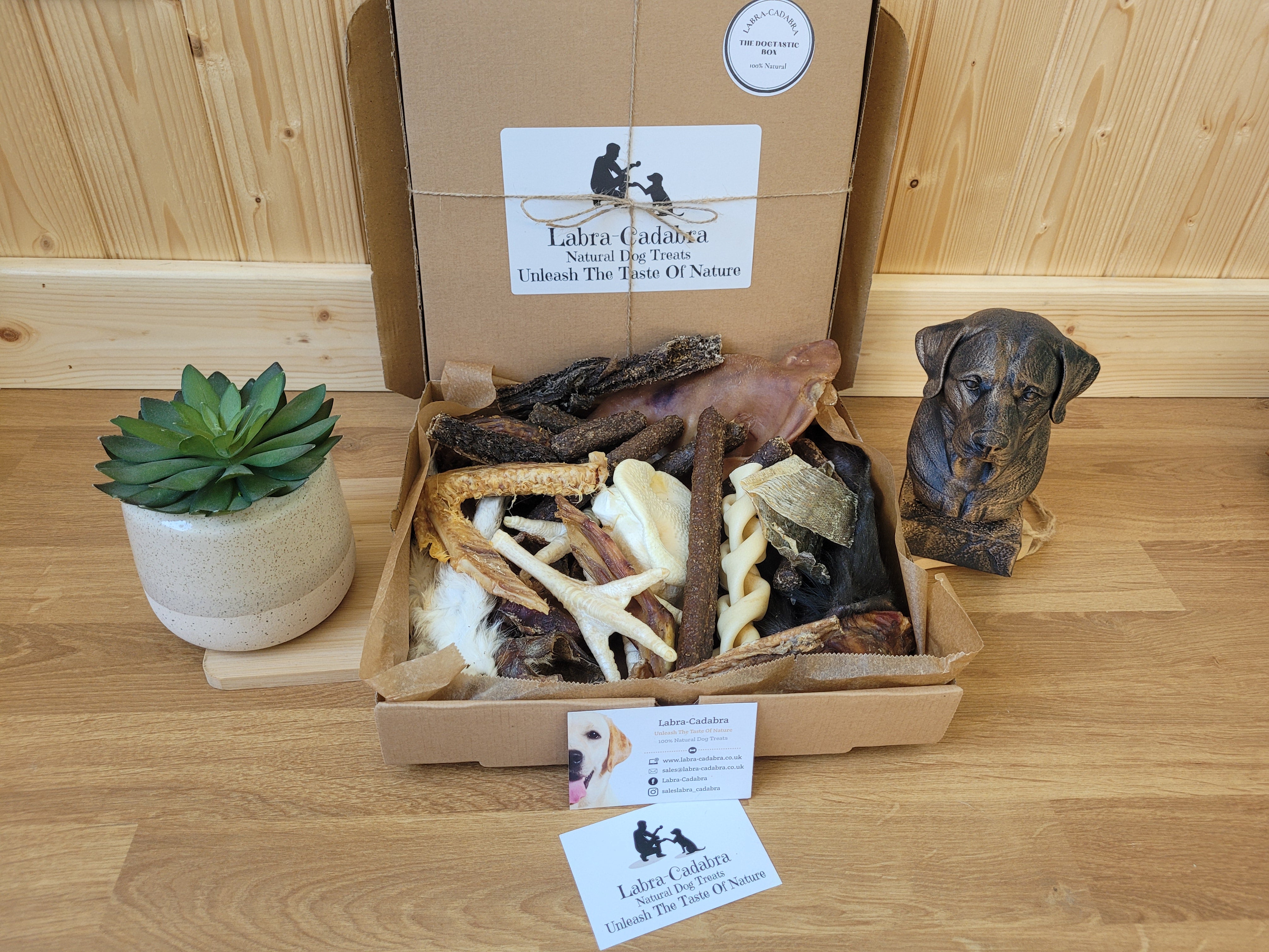 The Dogtastic Box – Labra-Cadabra