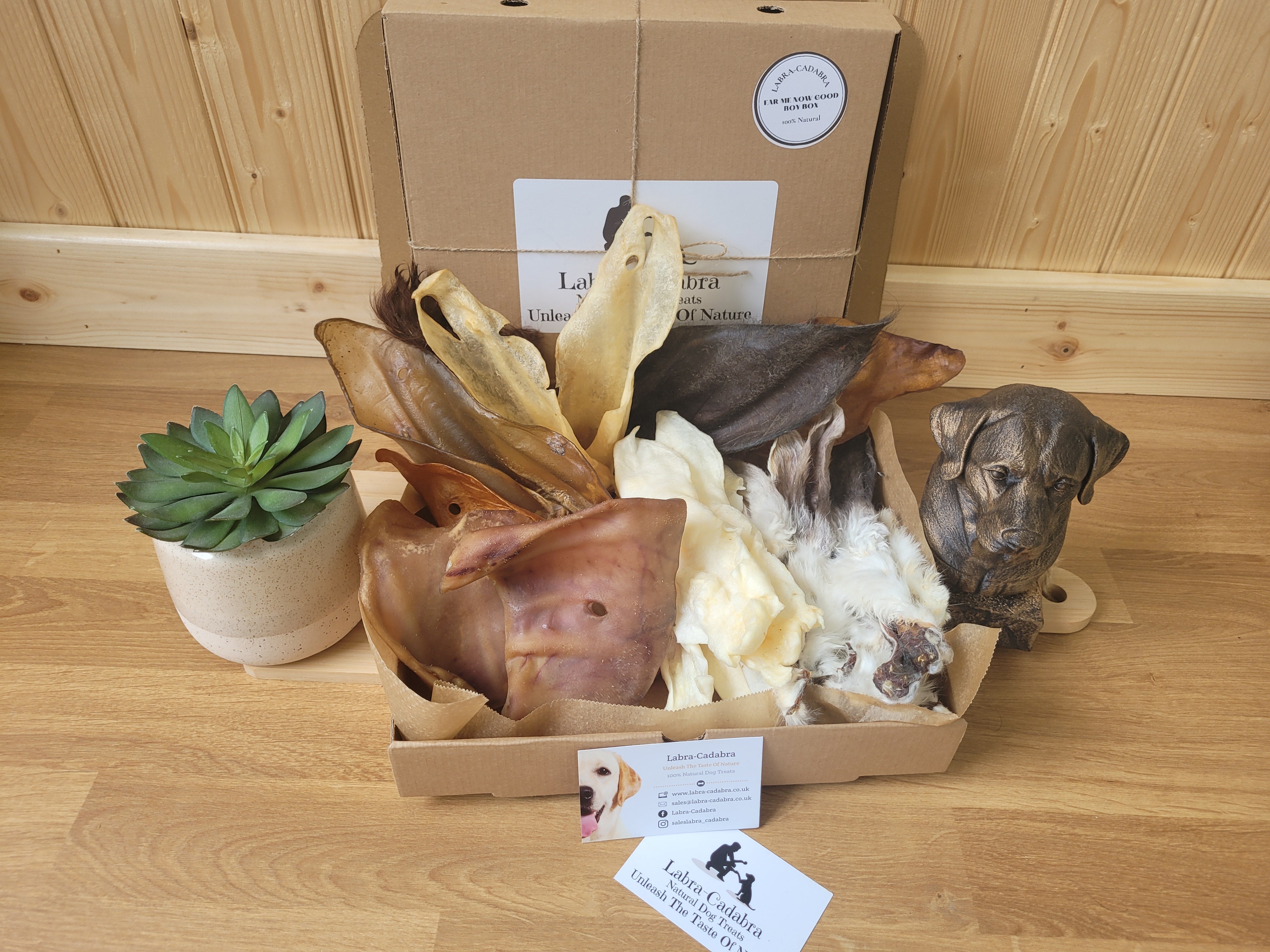 Ear Me Now Good Boy Box – Labra-Cadabra